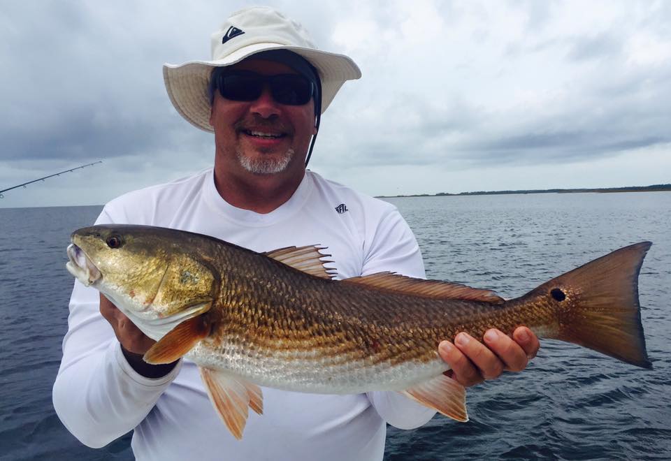 Steve Bass – TREPO